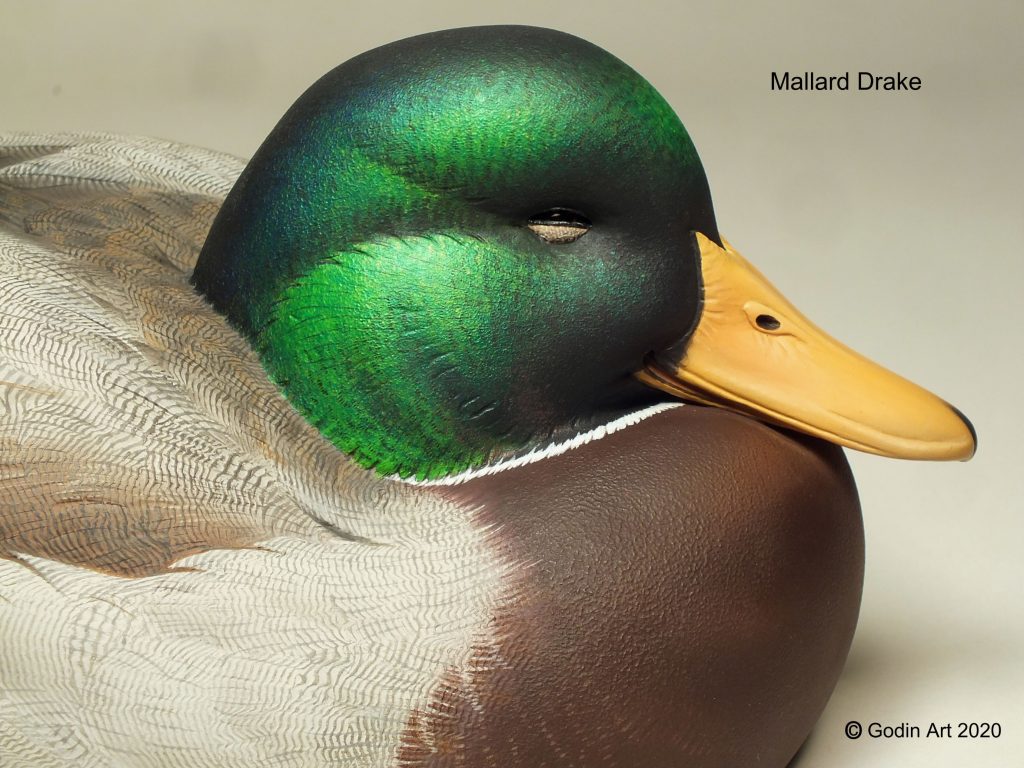 Mallard Drake Photo Packet - Godin Art