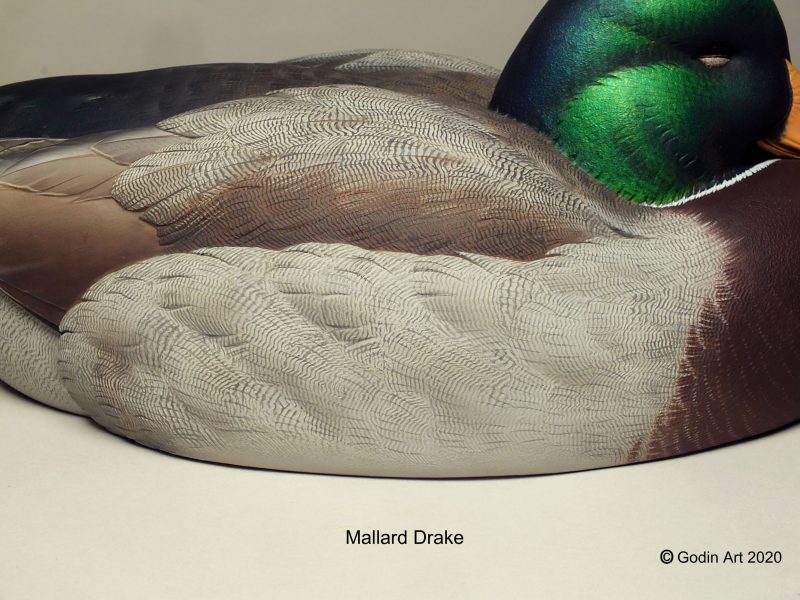 Mallard Drake Photo Packet - Godin Art
