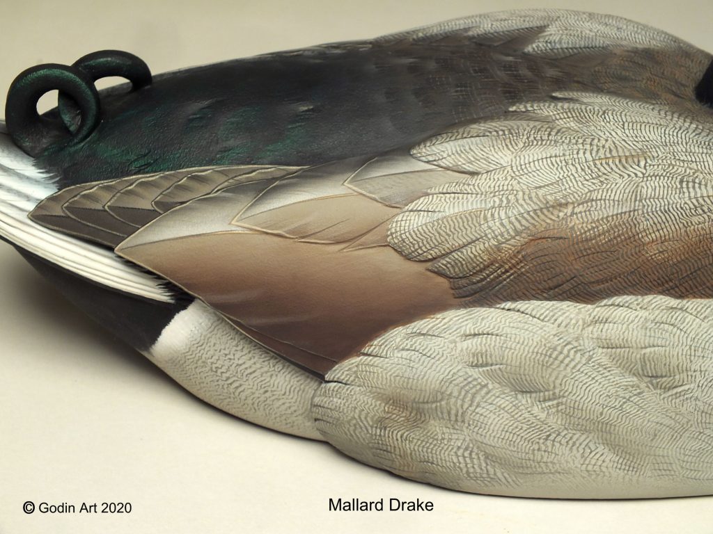 Mallard Drake Photo Packet - Godin Art