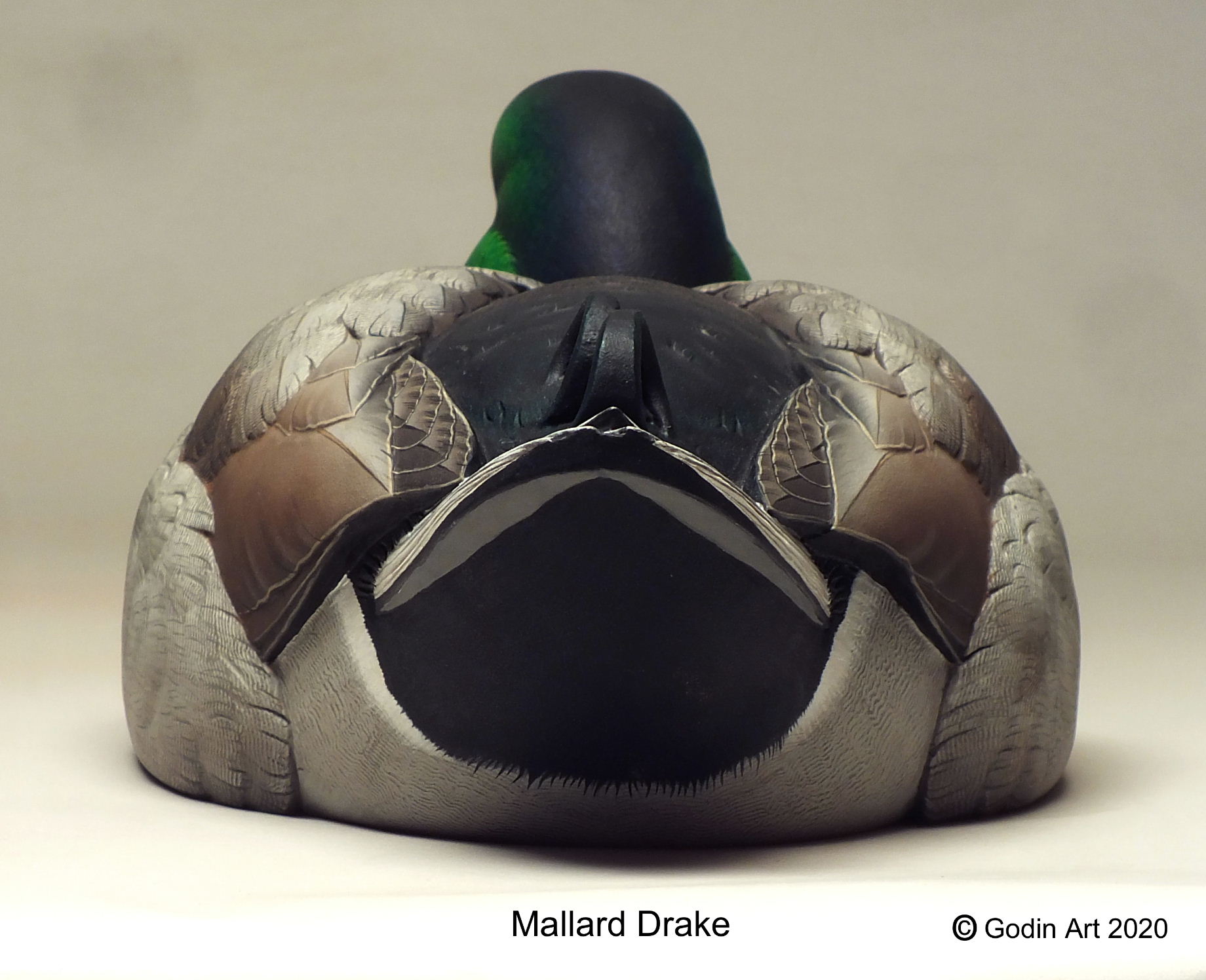 Mallard Drake Photo Packet - Godin Art