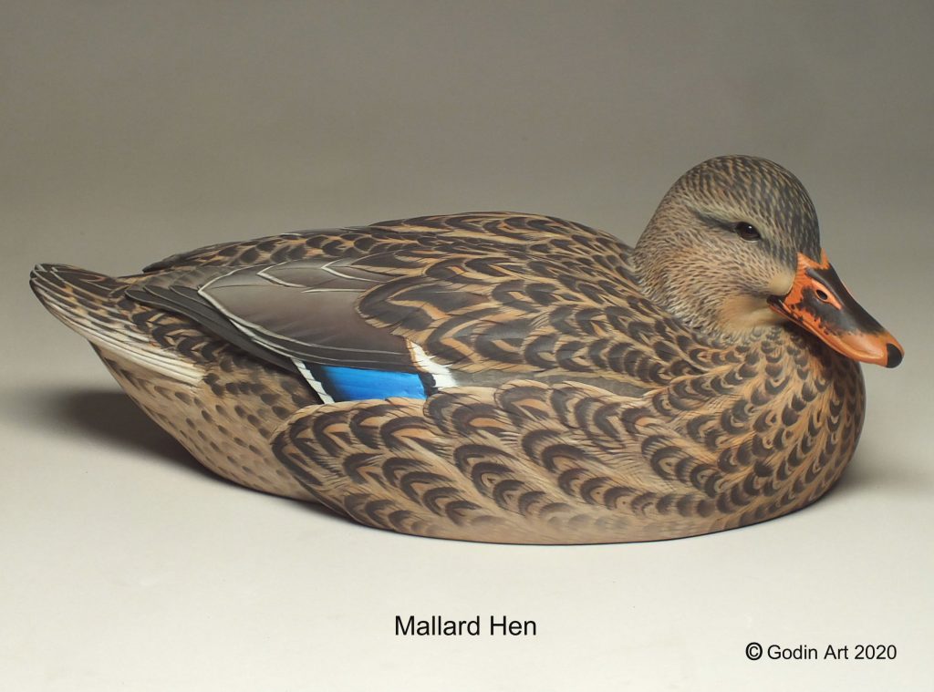 Mallard Hen Photo Packet - Godin Art