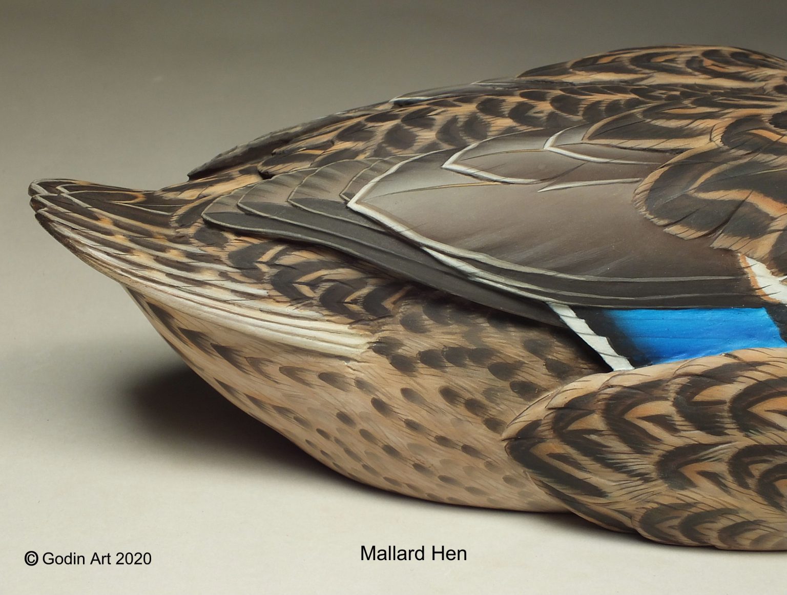 Mallard Hen Photo Packet - Godin Art