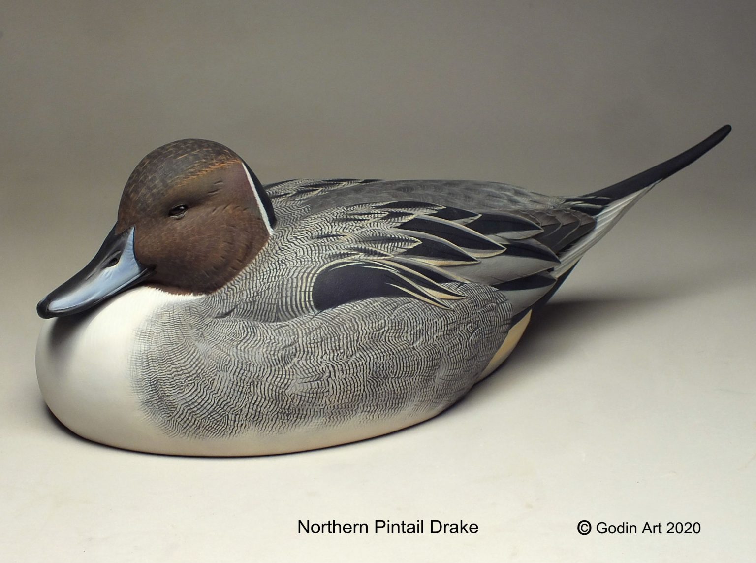 Low Head Northern Pintail Drake Photo Packet - Godin Art