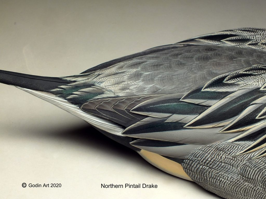 Low Head Northern Pintail Drake Photo Packet - Godin Art