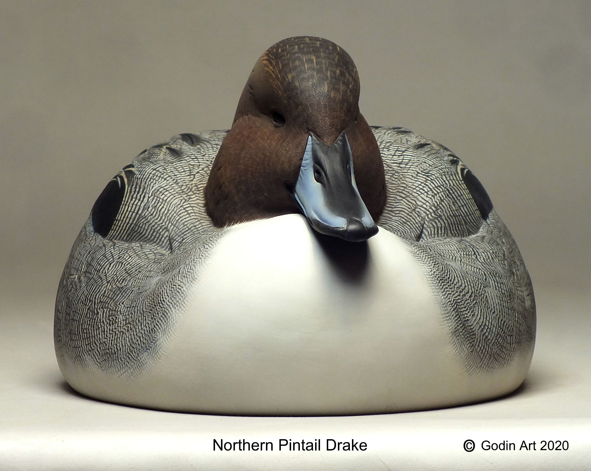 Low Head Northern Pintail Drake Photo Packet - Godin Art