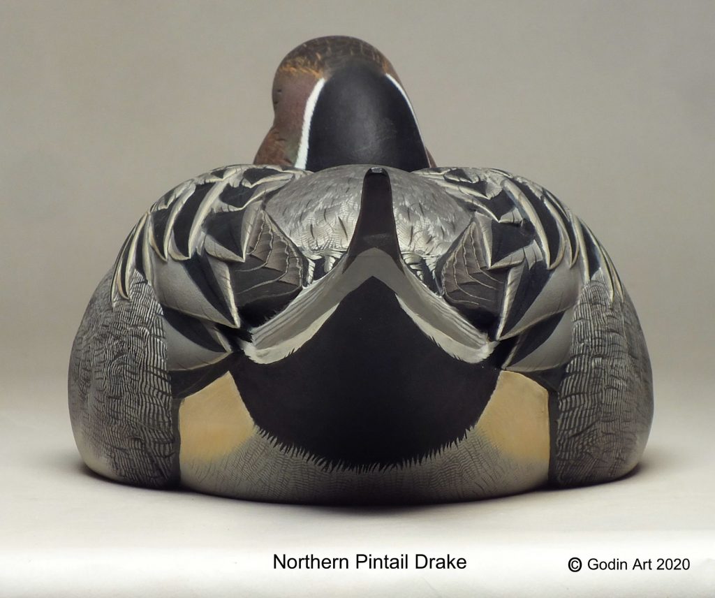 Low Head Northern Pintail Drake Photo Packet - Godin Art