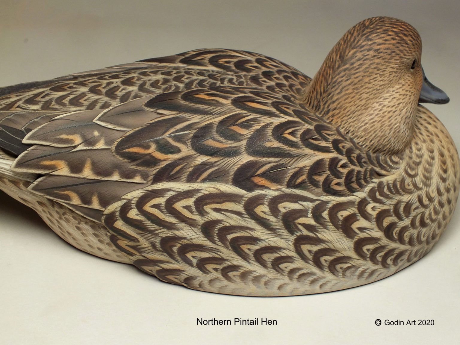 Northern Pintail Hen Photo Packet - Godin Art