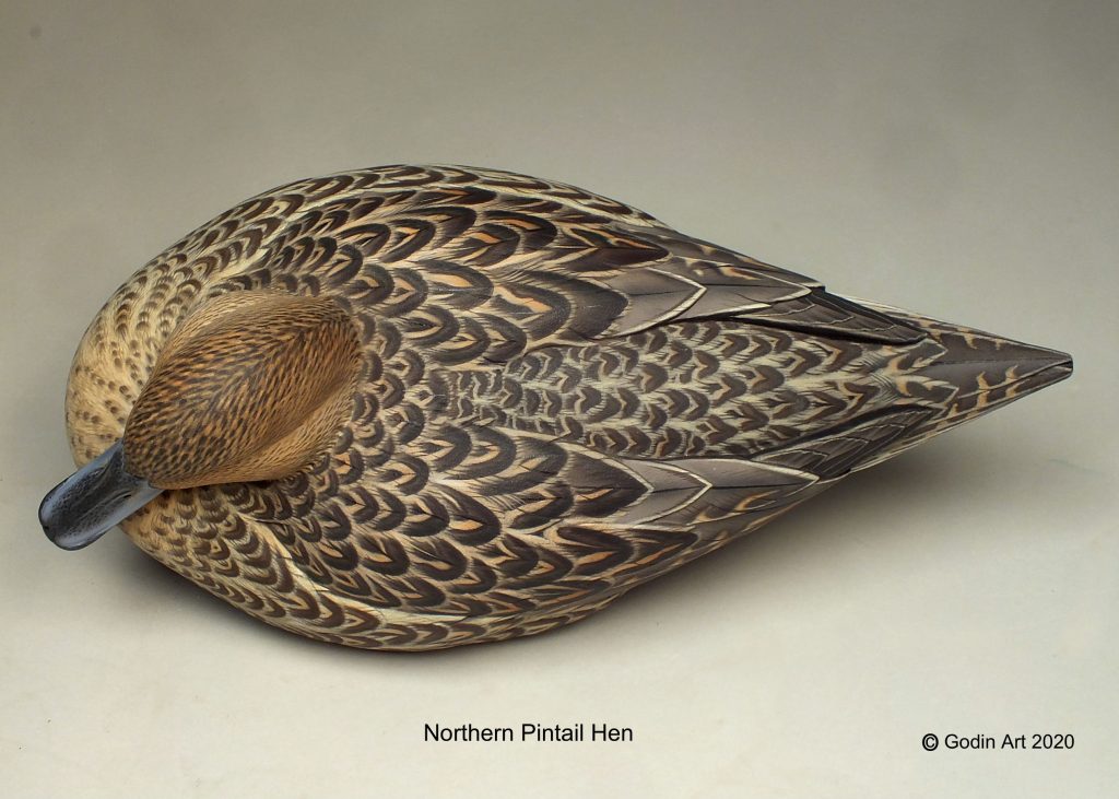 Northern Pintail Hen Photo Packet - Godin Art
