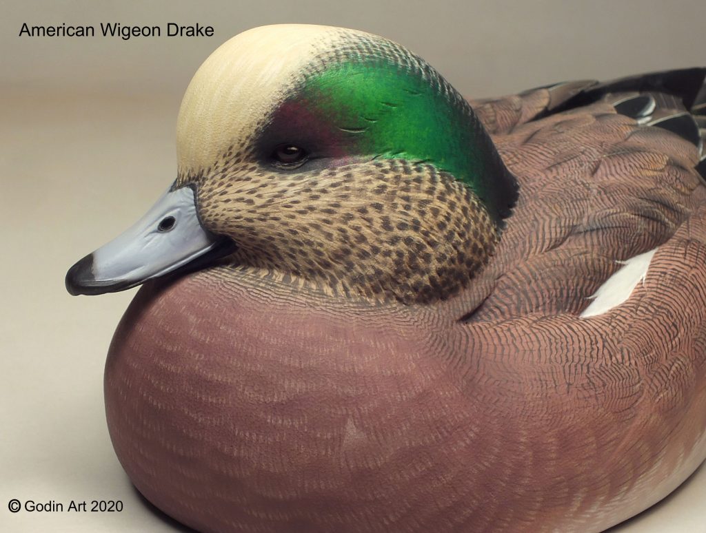 Wigeon Drake (low head) Photo Packet - Godin Art