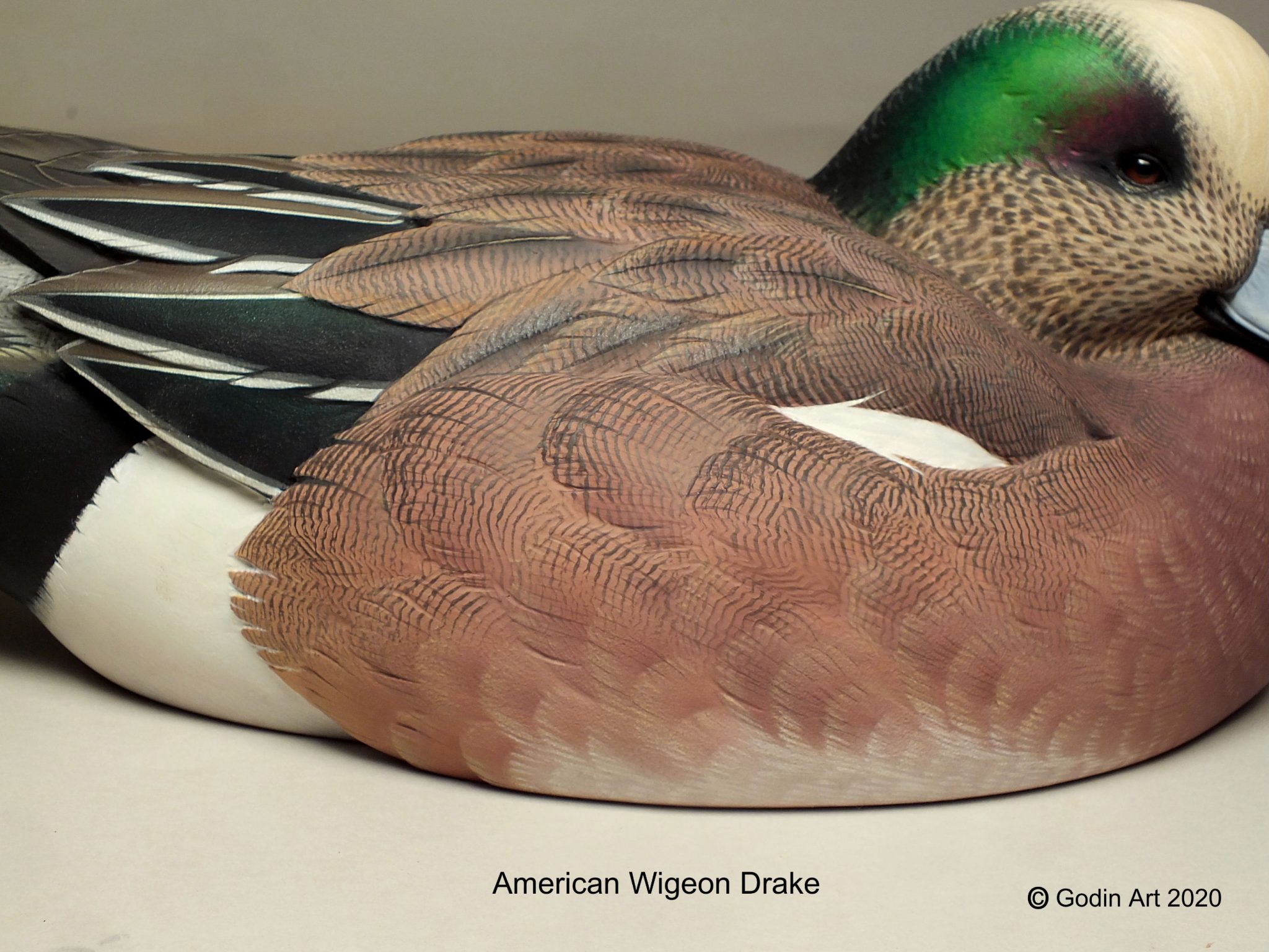 Wigeon Drake (low head) Photo Packet - Godin Art