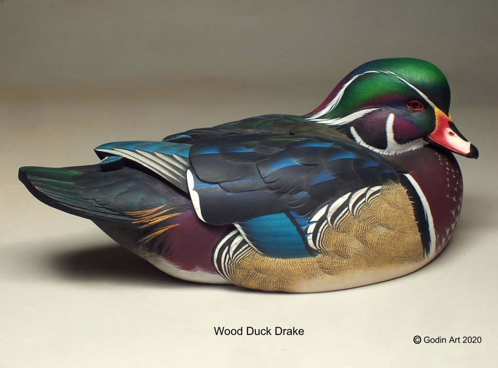 Wood Duck Drake Photo Packet - Godin Art