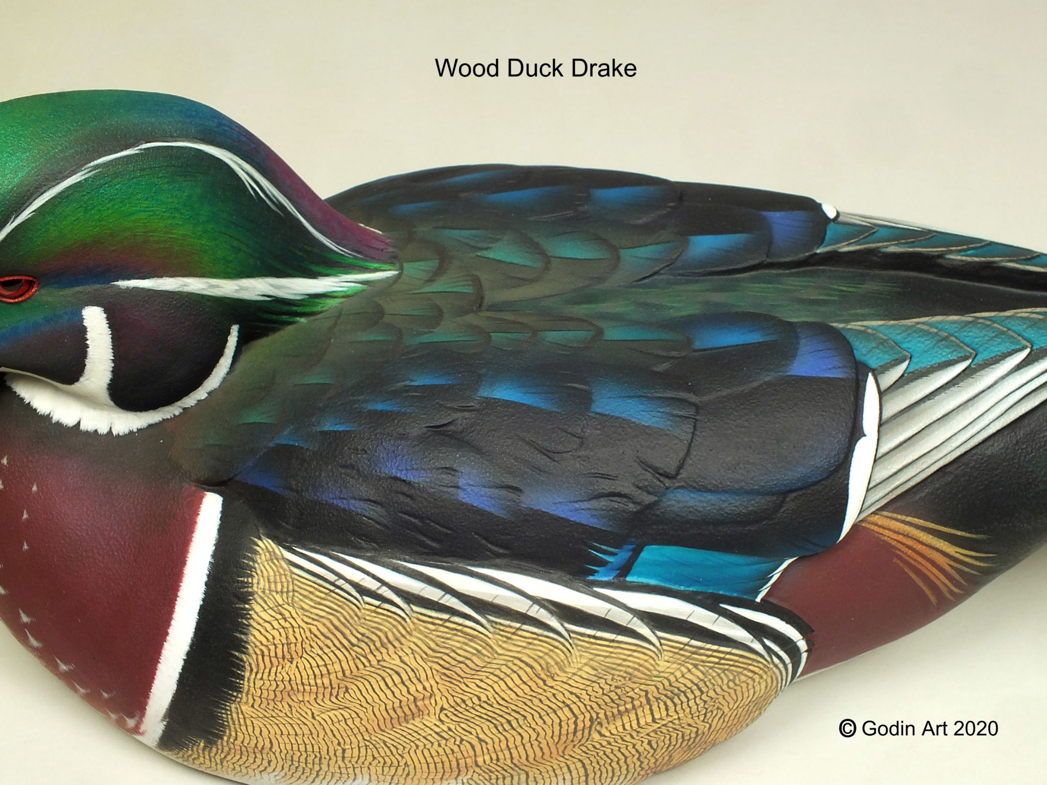 Wood Duck Drake Photo Packet - Godin Art