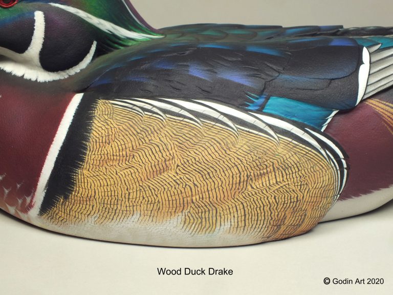 Wood Duck Drake Photo Packet - Godin Art