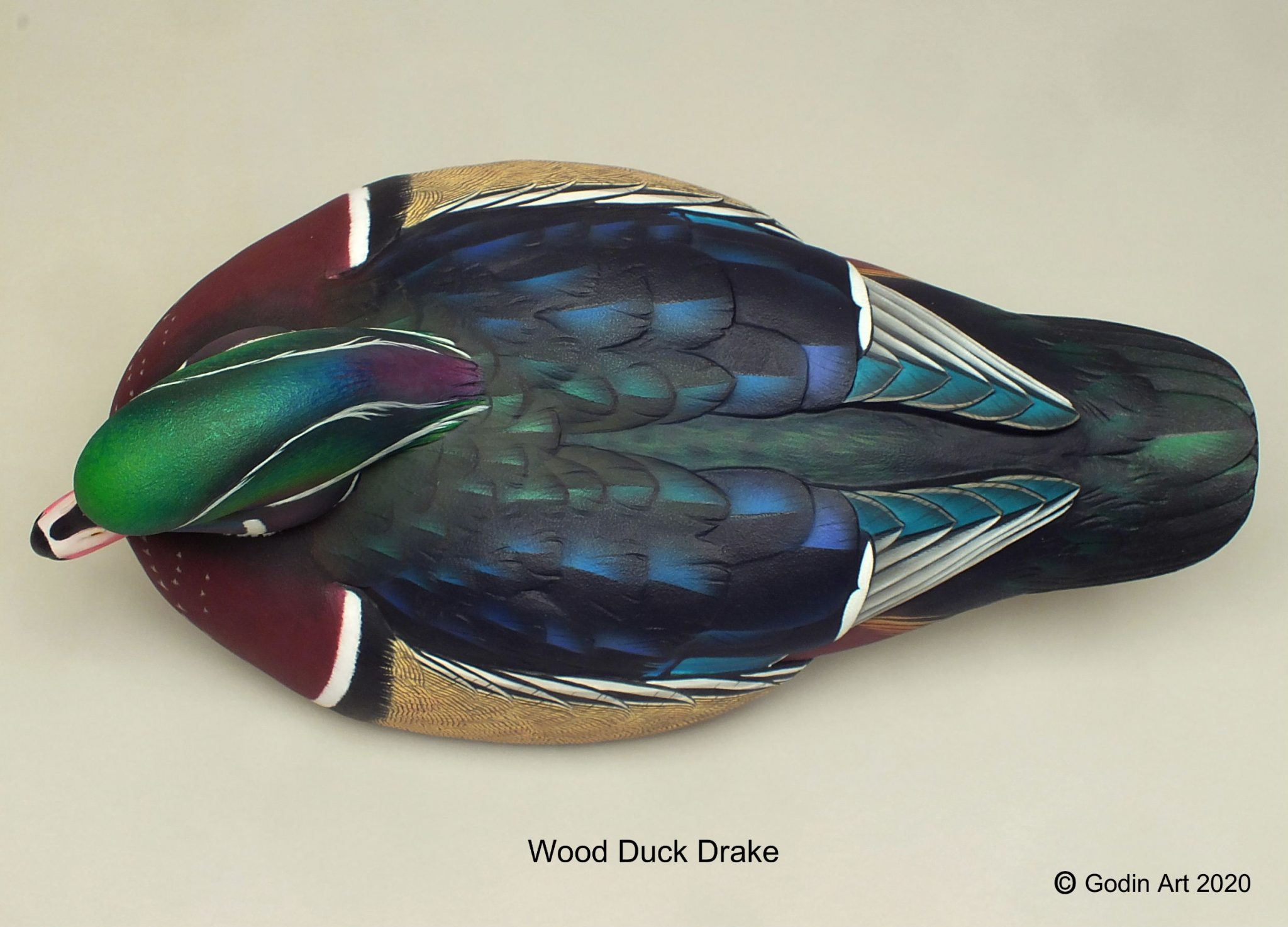 Wood Duck Drake Photo Packet - Godin Art