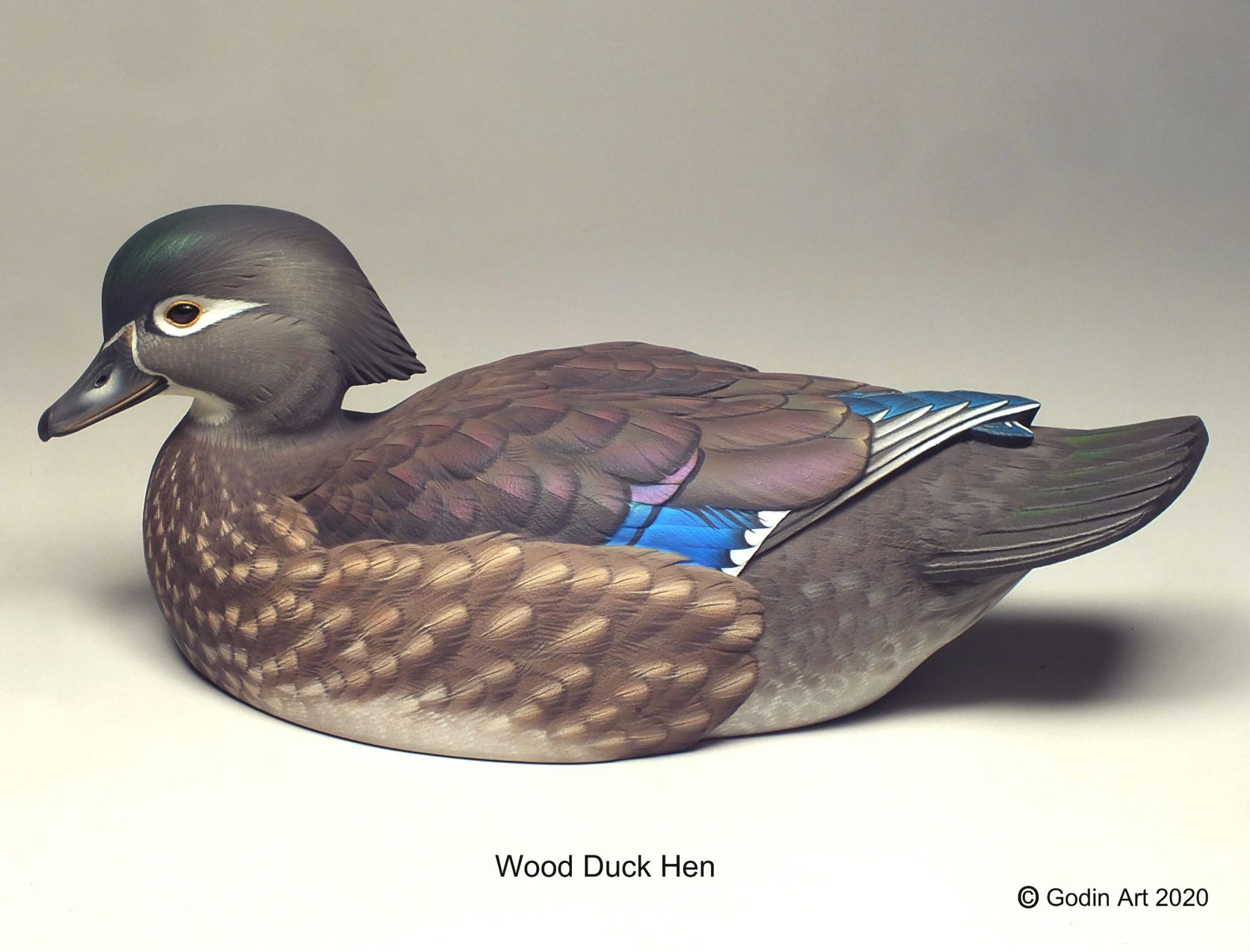 Wood Duck Hen Photo Packet - Godin Art