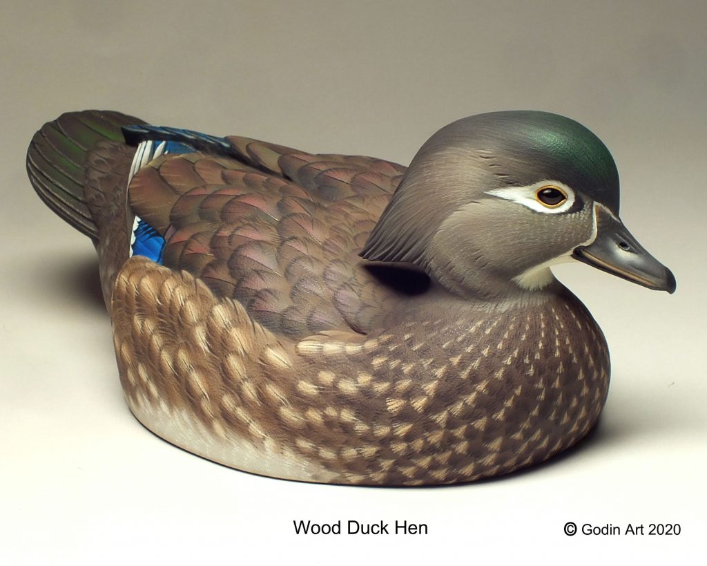 Wood Duck Hen Photo Packet - Godin Art