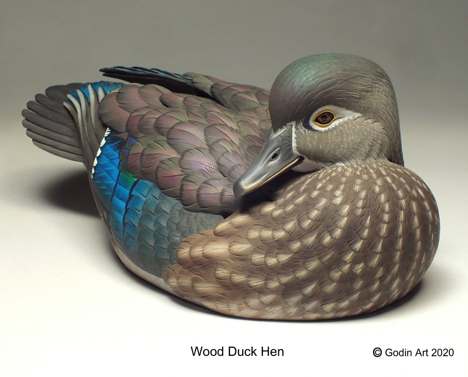 Wood Duck Hen Photo Packet - Godin Art