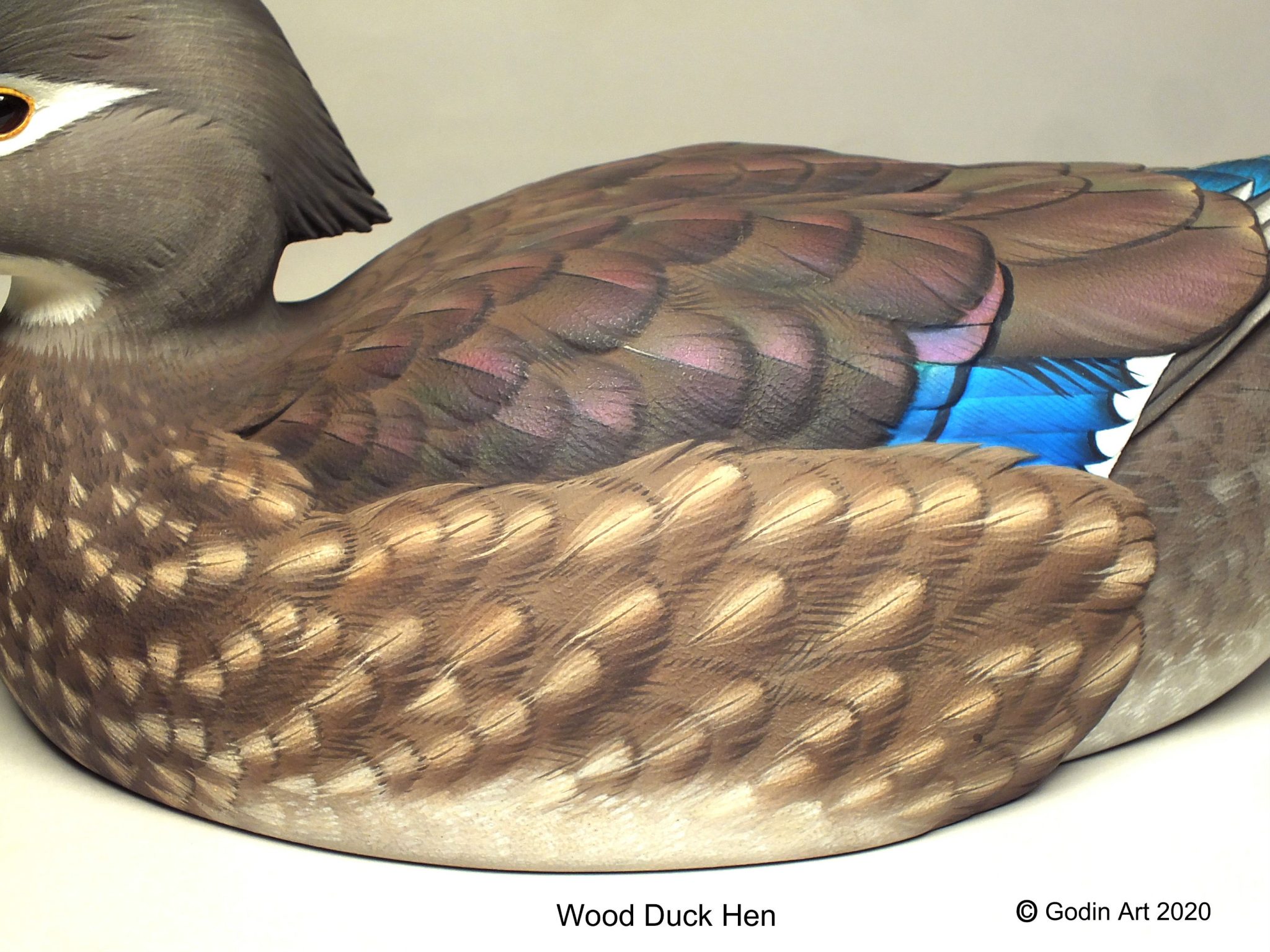 Wood Duck Hen Photo Packet - Godin Art