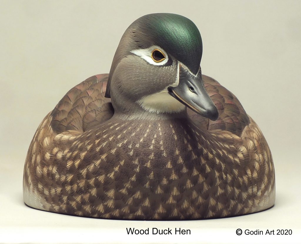 Wood Duck Hen Photo Packet - Godin Art