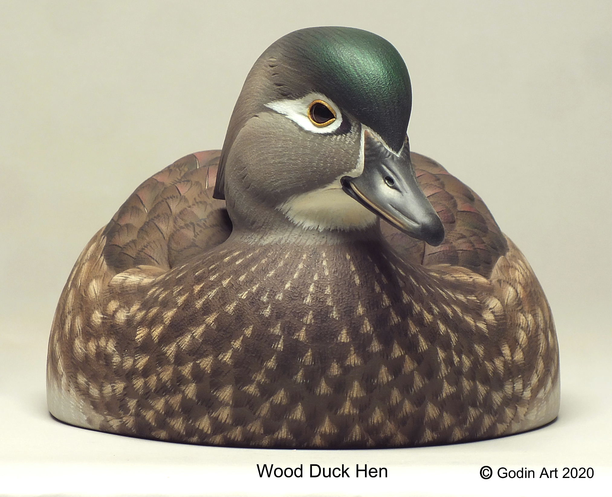 Wood Duck Hen Photo Packet - Godin Art