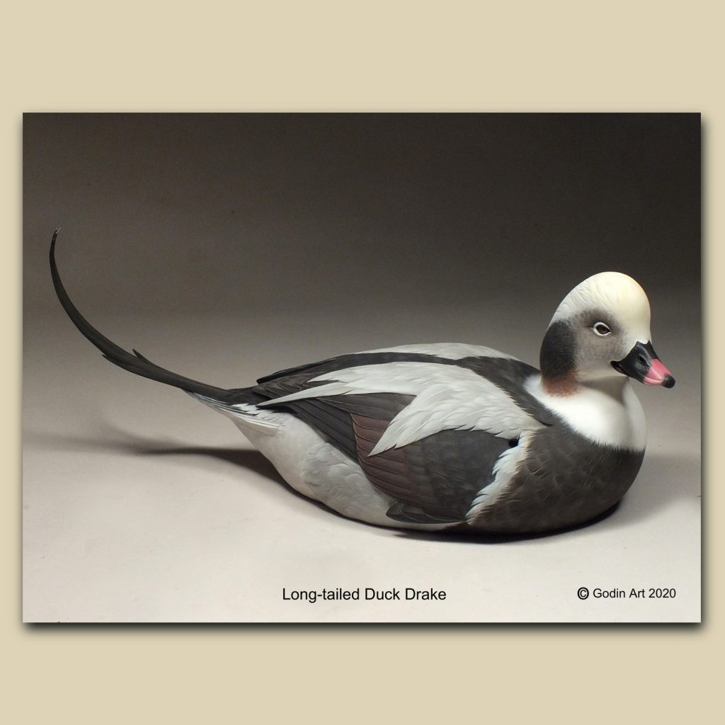 Long-tailed Duck Drake Photo Packet - Godin Art
