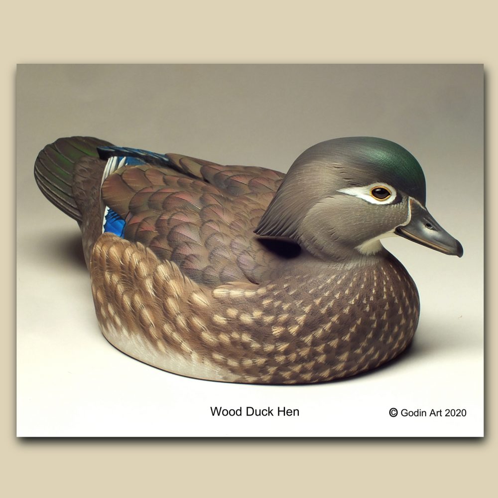 Wood Duck Hen Photo Packet - Godin Art