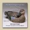 Award Winning Wildfowl Sculpture Artist - Pat Godin